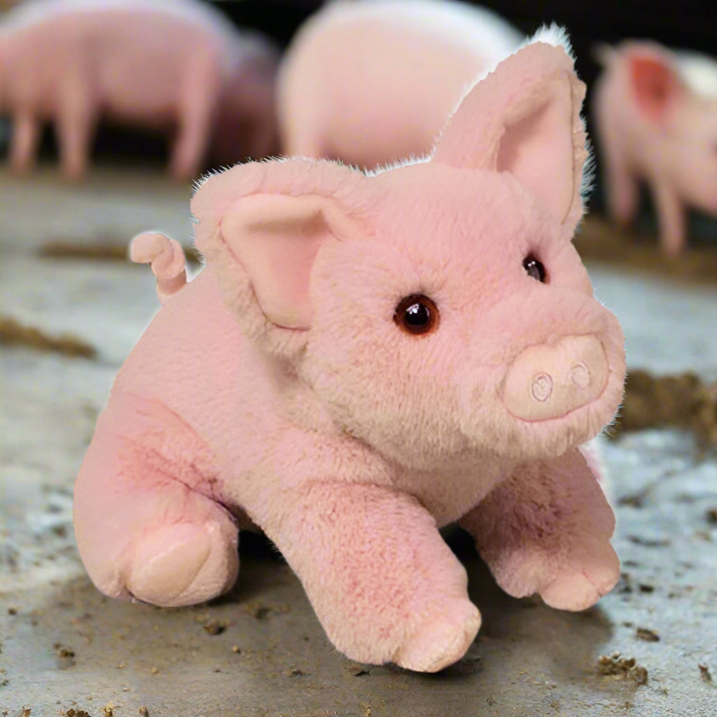Douglas SOFT Pinkie Pig – Sugar Island Inc